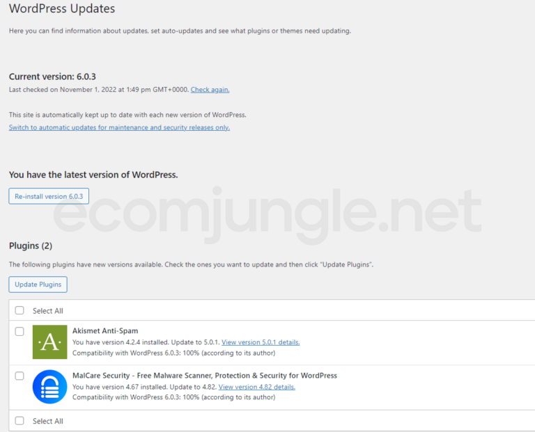 Get To Know WordPress Admin Dashboard: Key Functionality And Features Explained • eComStrive.com